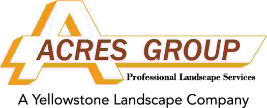 Chicago Landscaping | Yellowstone Landscape