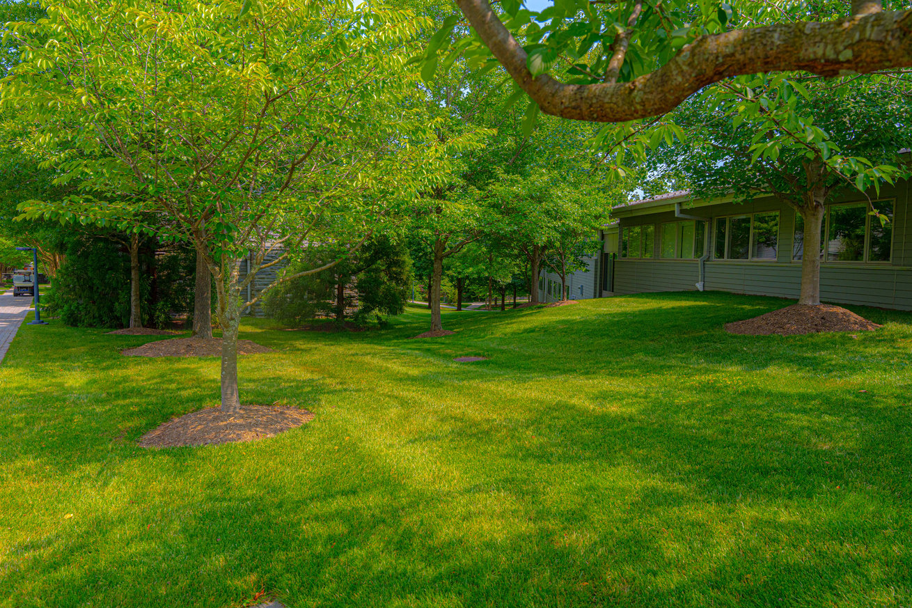 Smart Landscaping Projects to Maximize Your Budget