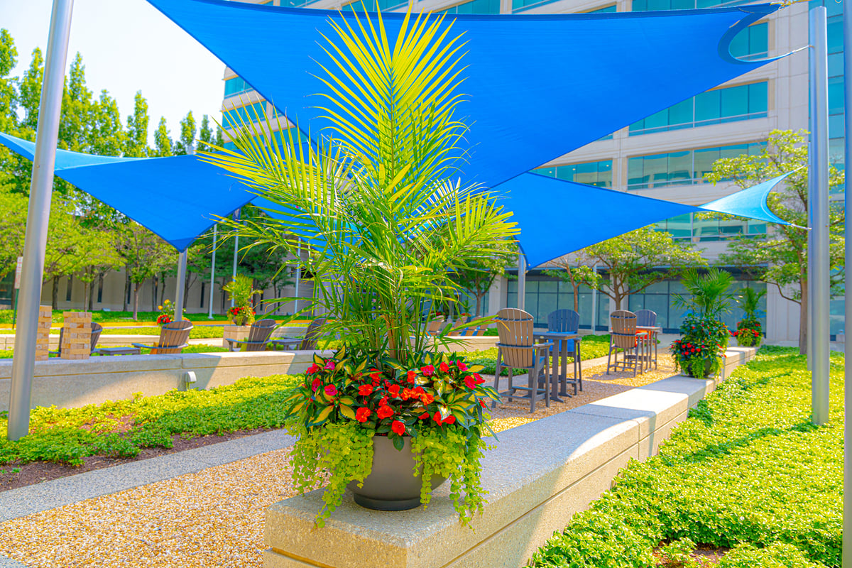 Why Spring is the Right Time to Review Your Commercial Landscape Contract