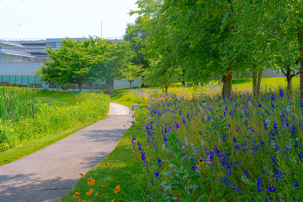 Why Spring is the Right Time to Review Your Commercial Landscape Contract