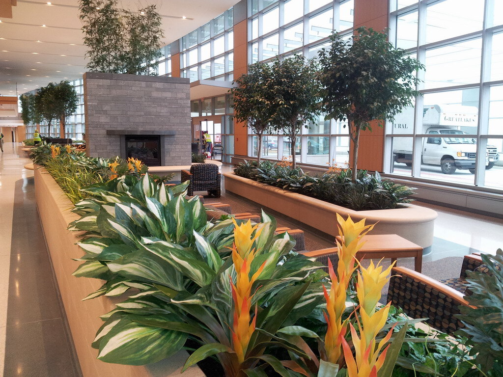 Understanding Interior Landscaping: Enhancing Indoor Spaces