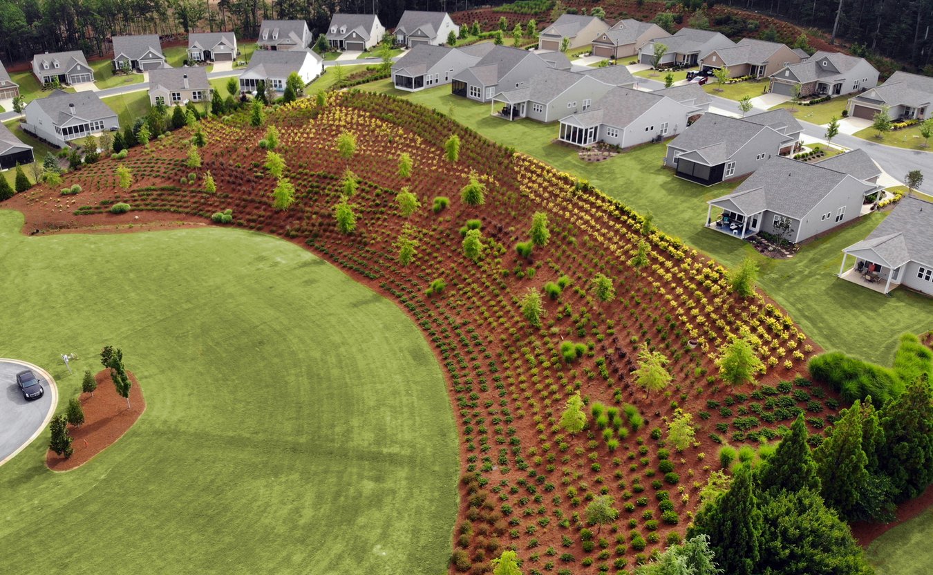 HOA Landscape Budgets: How Much Should You Spend on Landscaping at Your ...