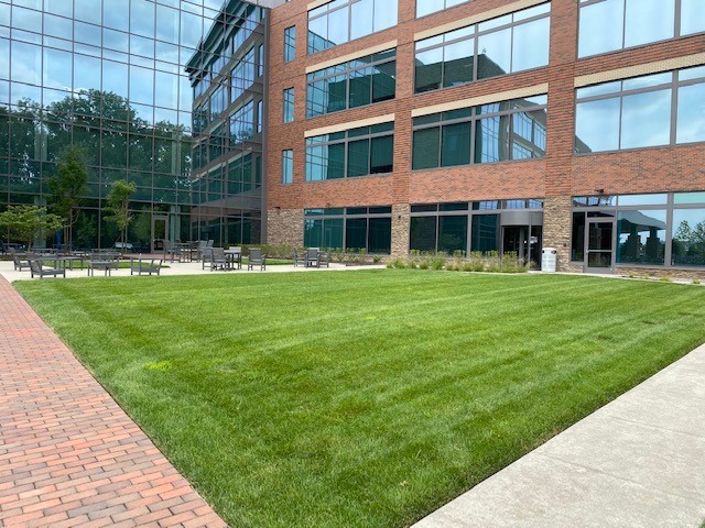 The Top Landscape Related Accidents on Your Commercial Property (And ...