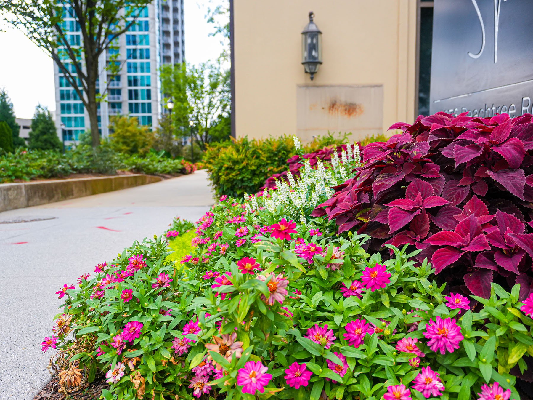 The Ultimate Guide to Hotel Entrance Design