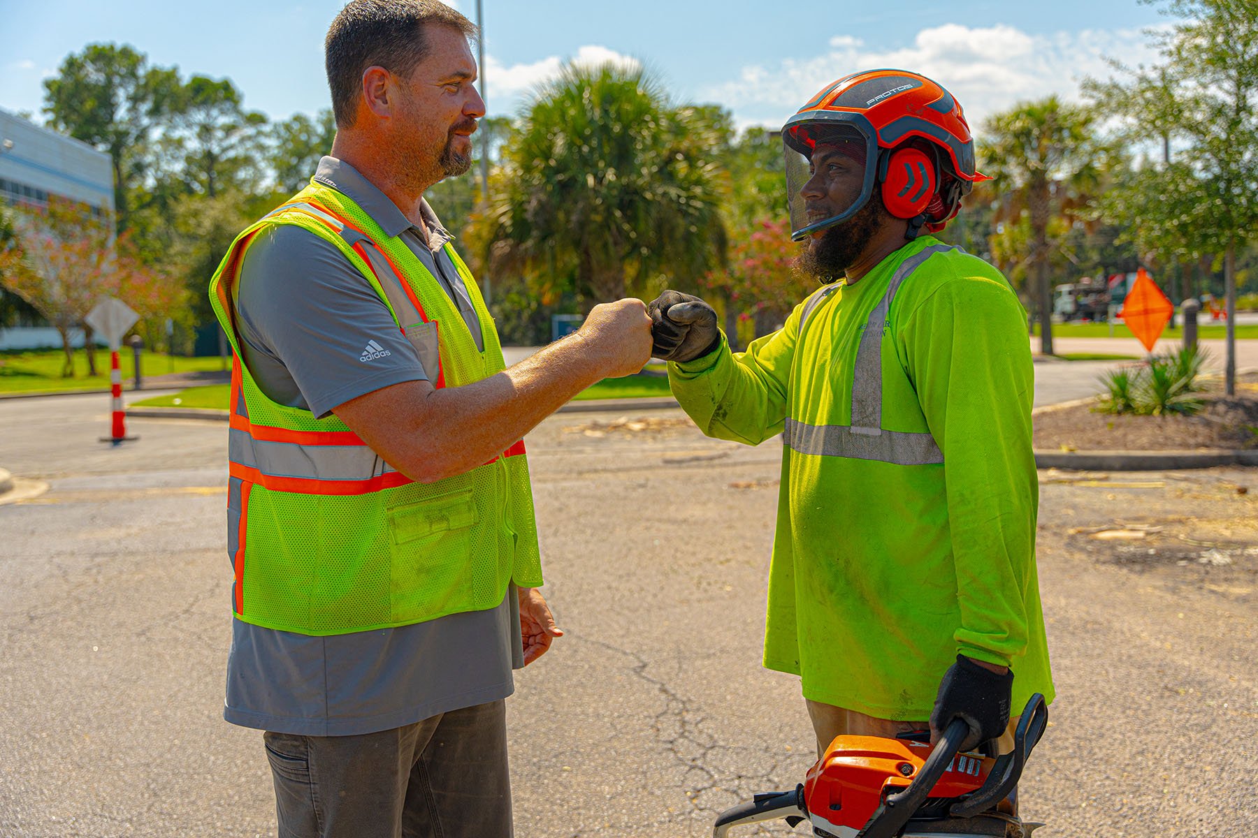 What is an Arborist?