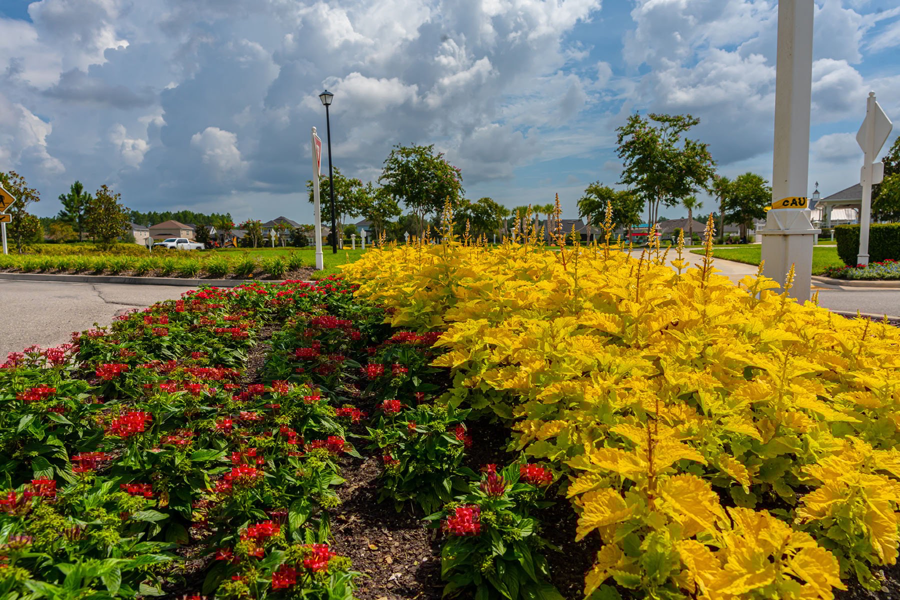 Top 5 Landscaping Challenges for Healthcare and Senior Living ...