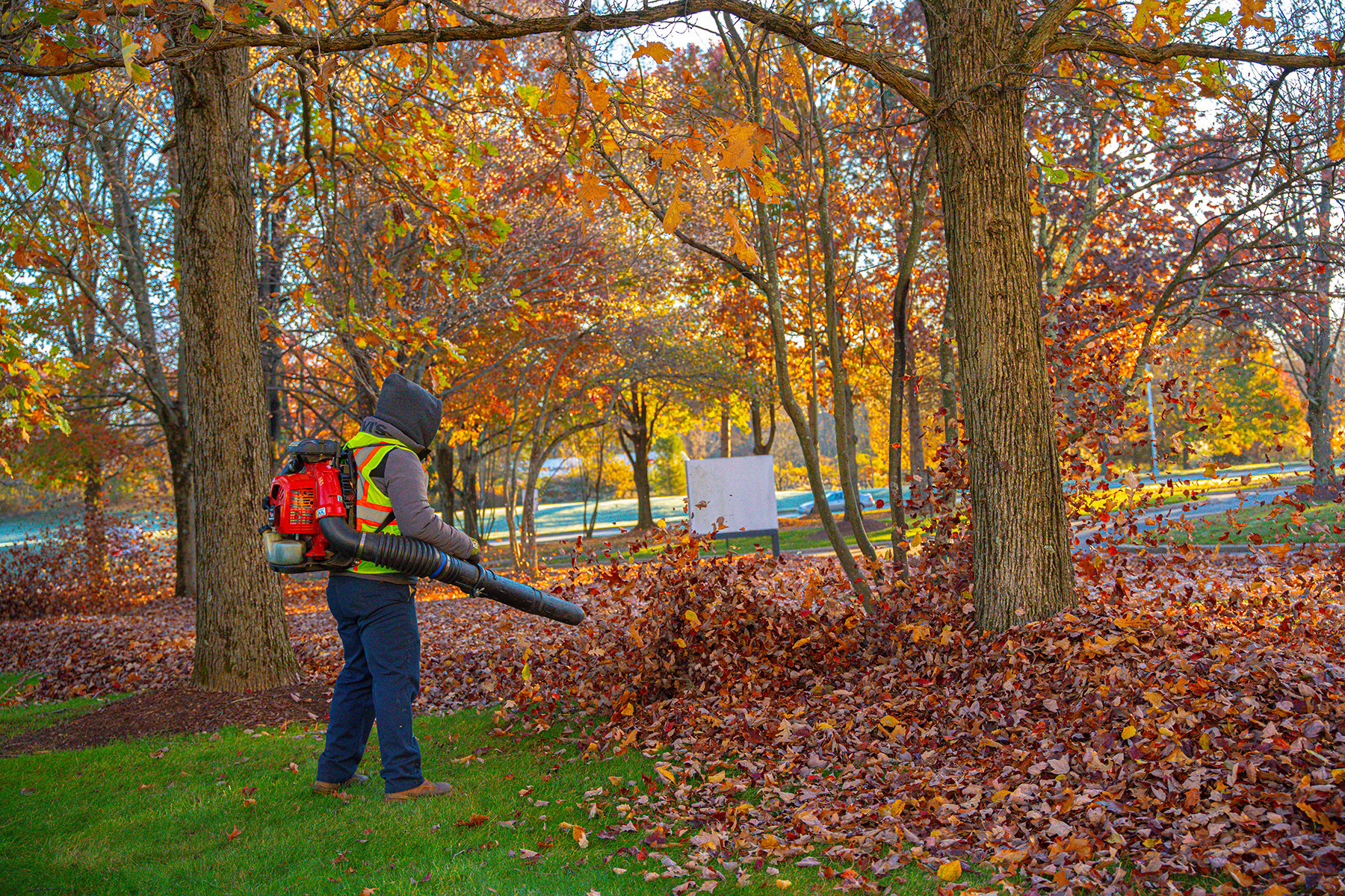 The Benefits of Professional Leaf Removal: Boost Curb Appeal, Safety ...