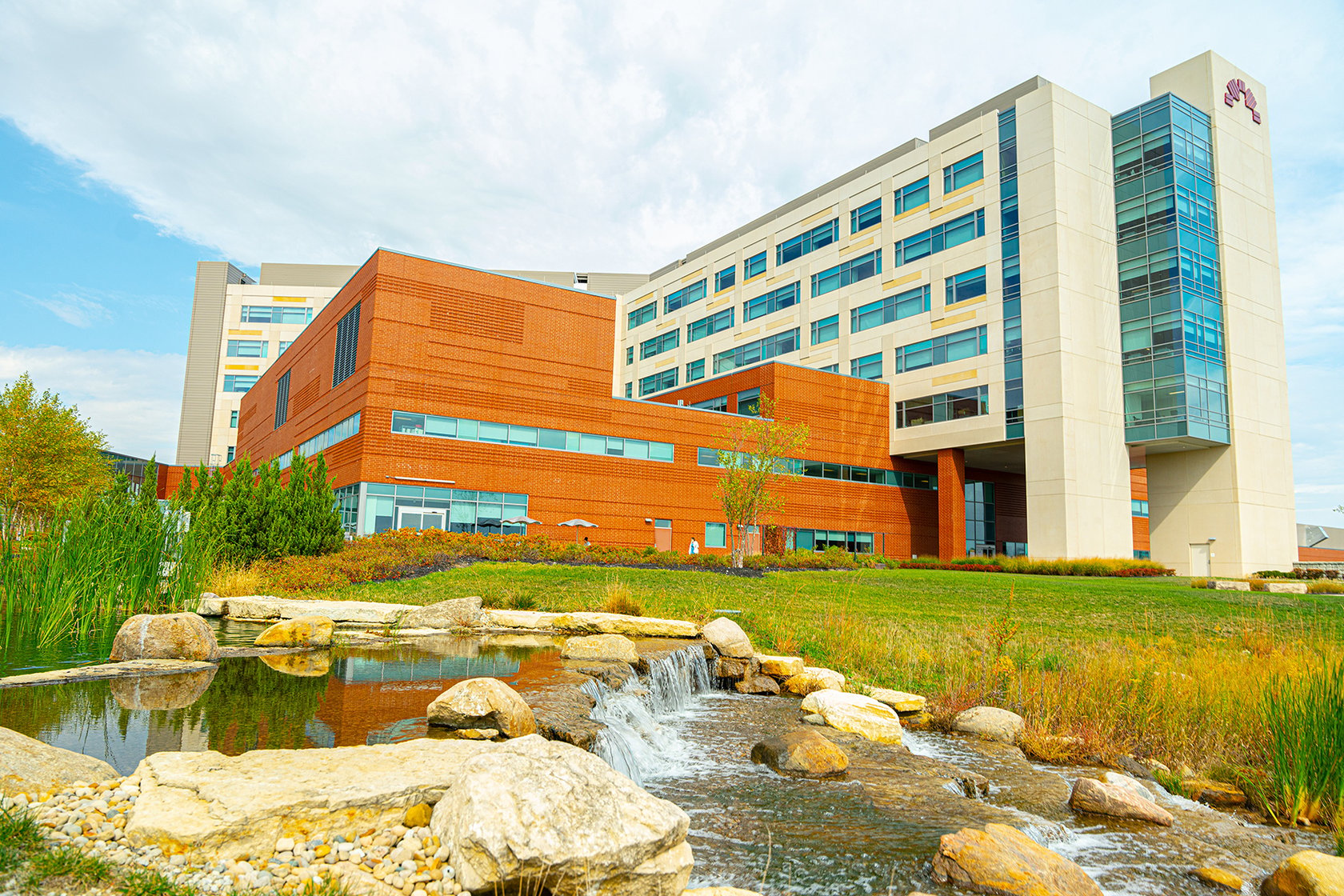 What is Landscape Construction?