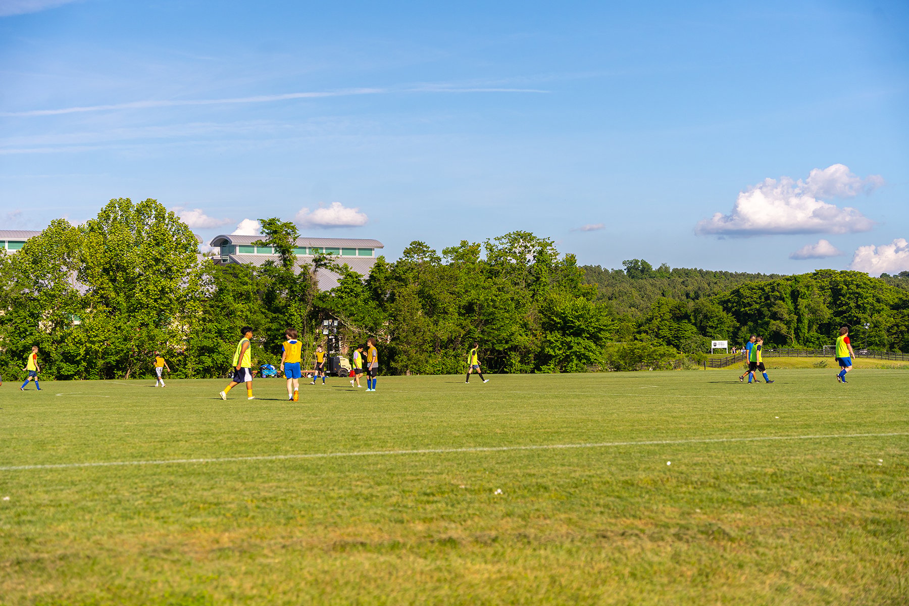 School & Campus Landscaping: How the Outdoor Environment Impacts ...