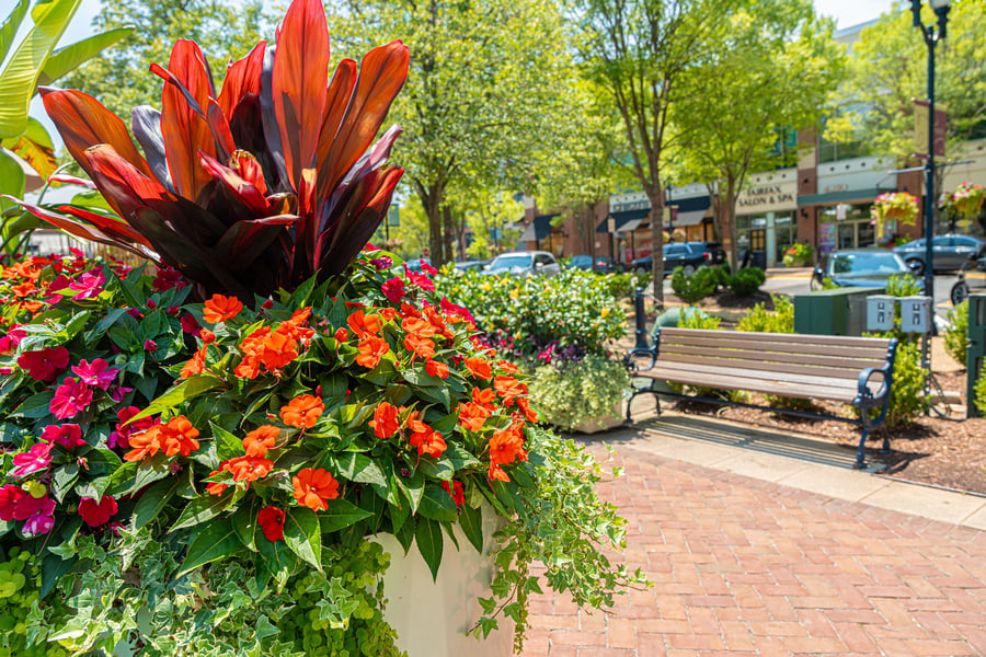 Expert Landscape Maintenance in Denver | Yellowstone Landscape