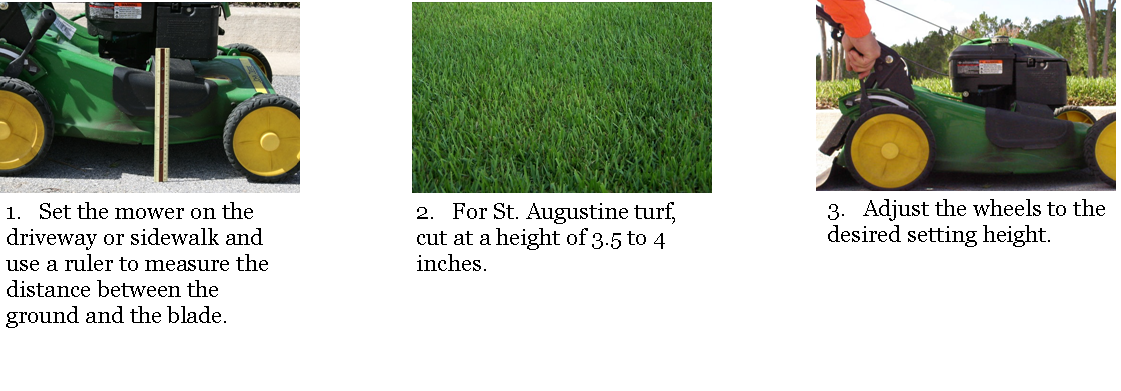 Proper Mowing Practices - A Key to the Perfect Landscape