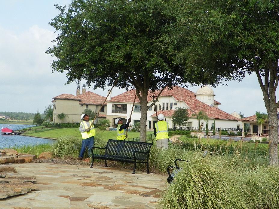Top Cleanup Services to Include in Your Commercial Landscape ...