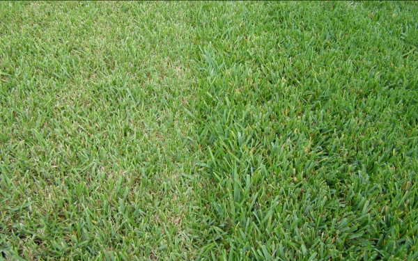 Proper Mowing Practices - A Key to the Perfect Landscape
