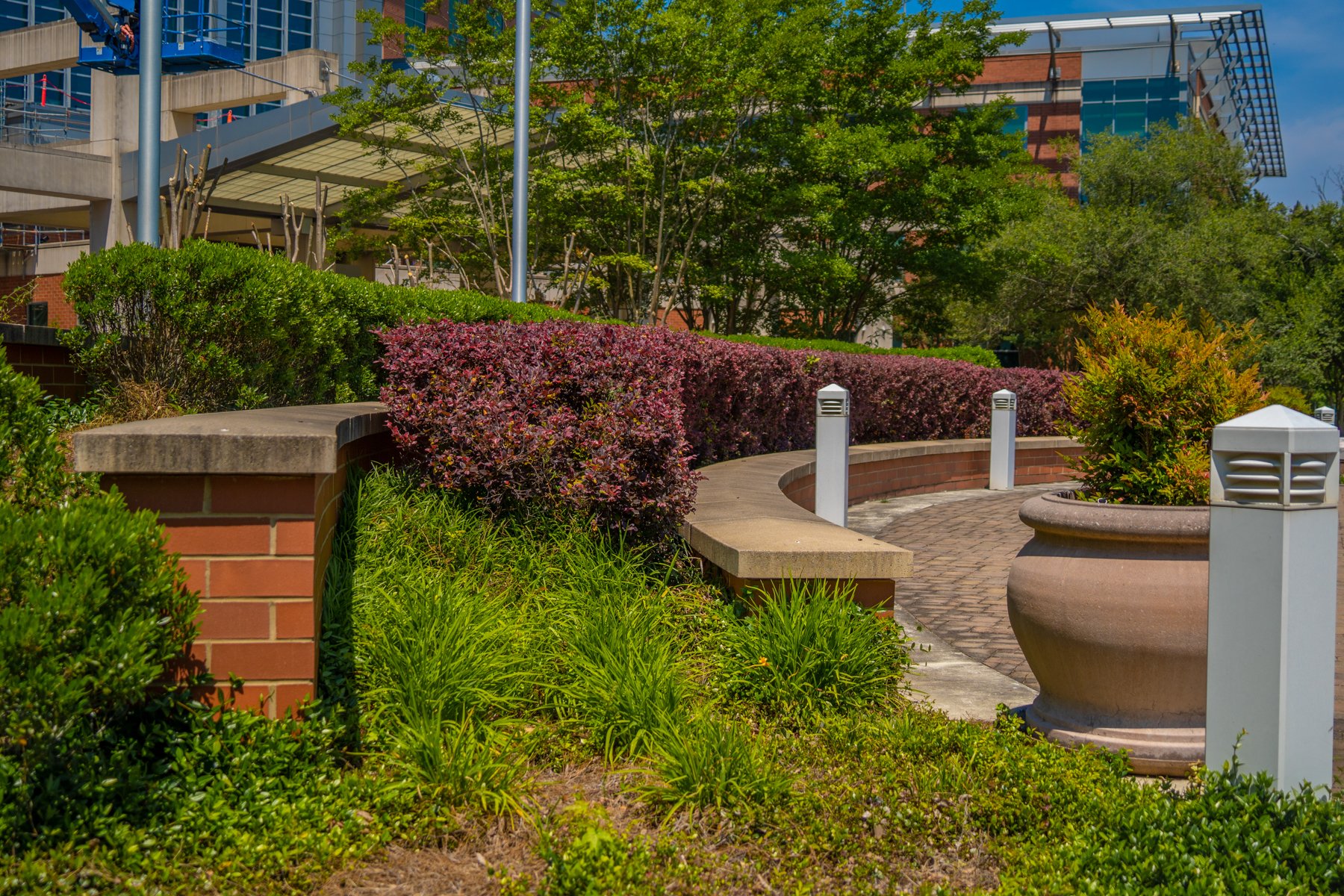 The 4 Environmental Benefits of Healthy Landscapes