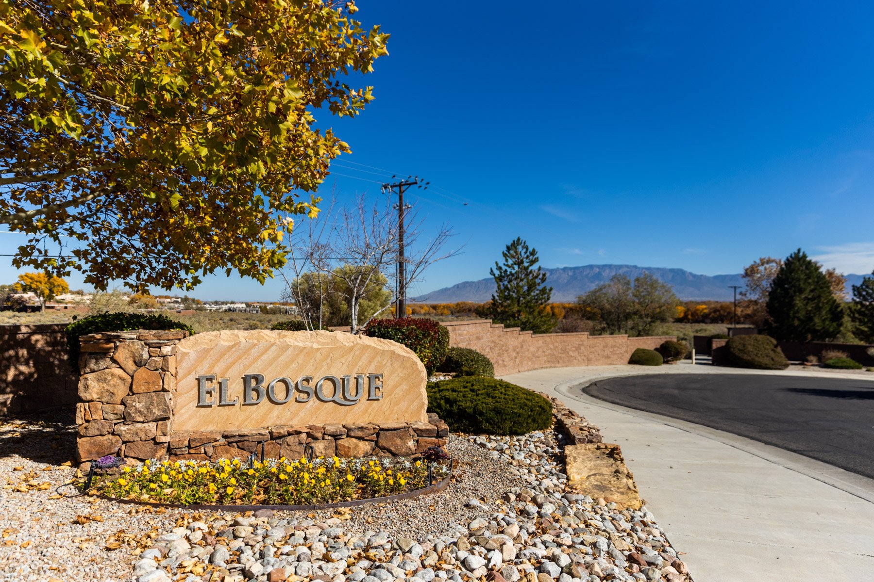 The "Right Plant, Right Place" Concept: Embracing Sustainability in ...