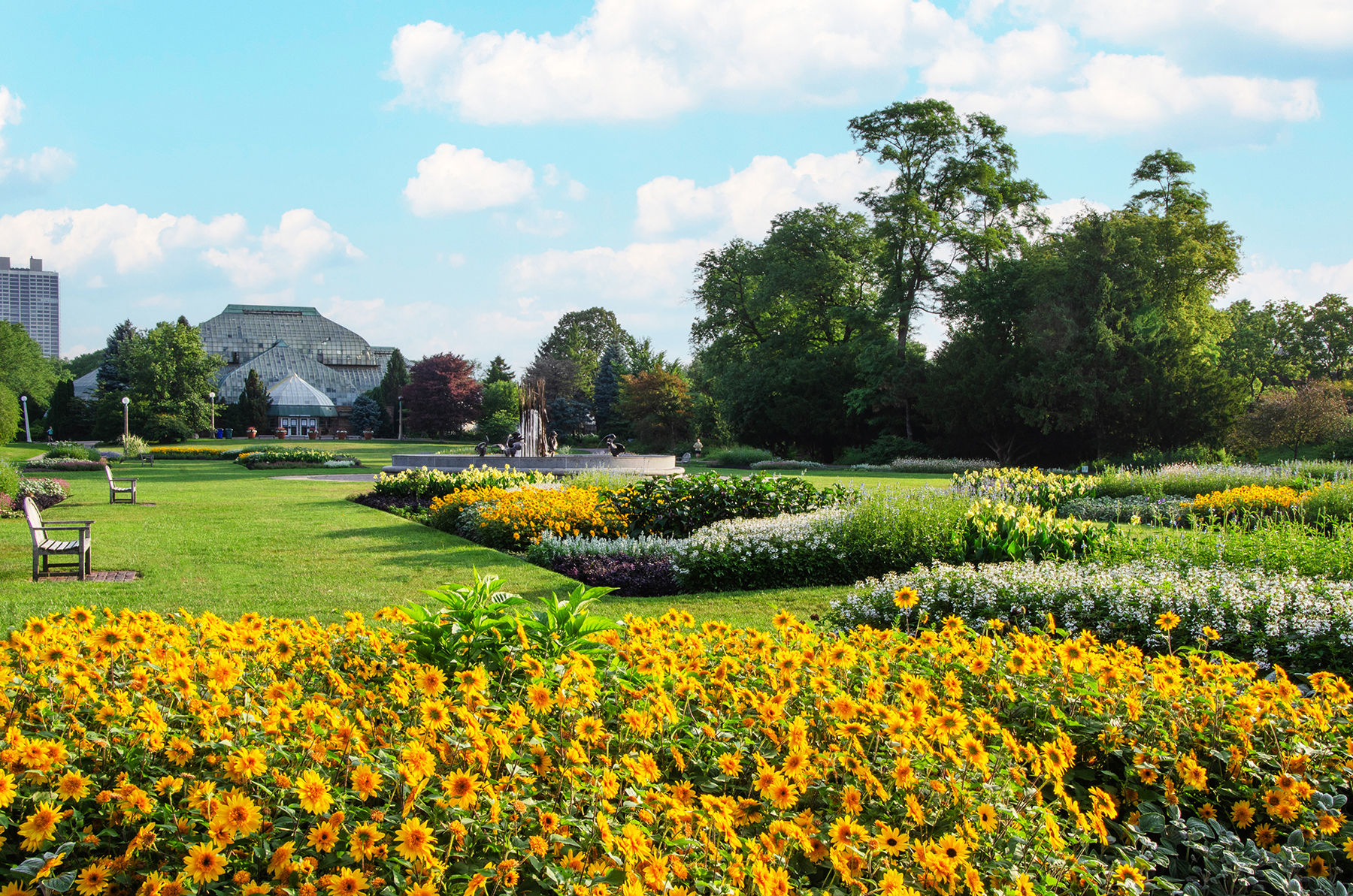 Expert Landscape Maintenance in Chicago Parks
