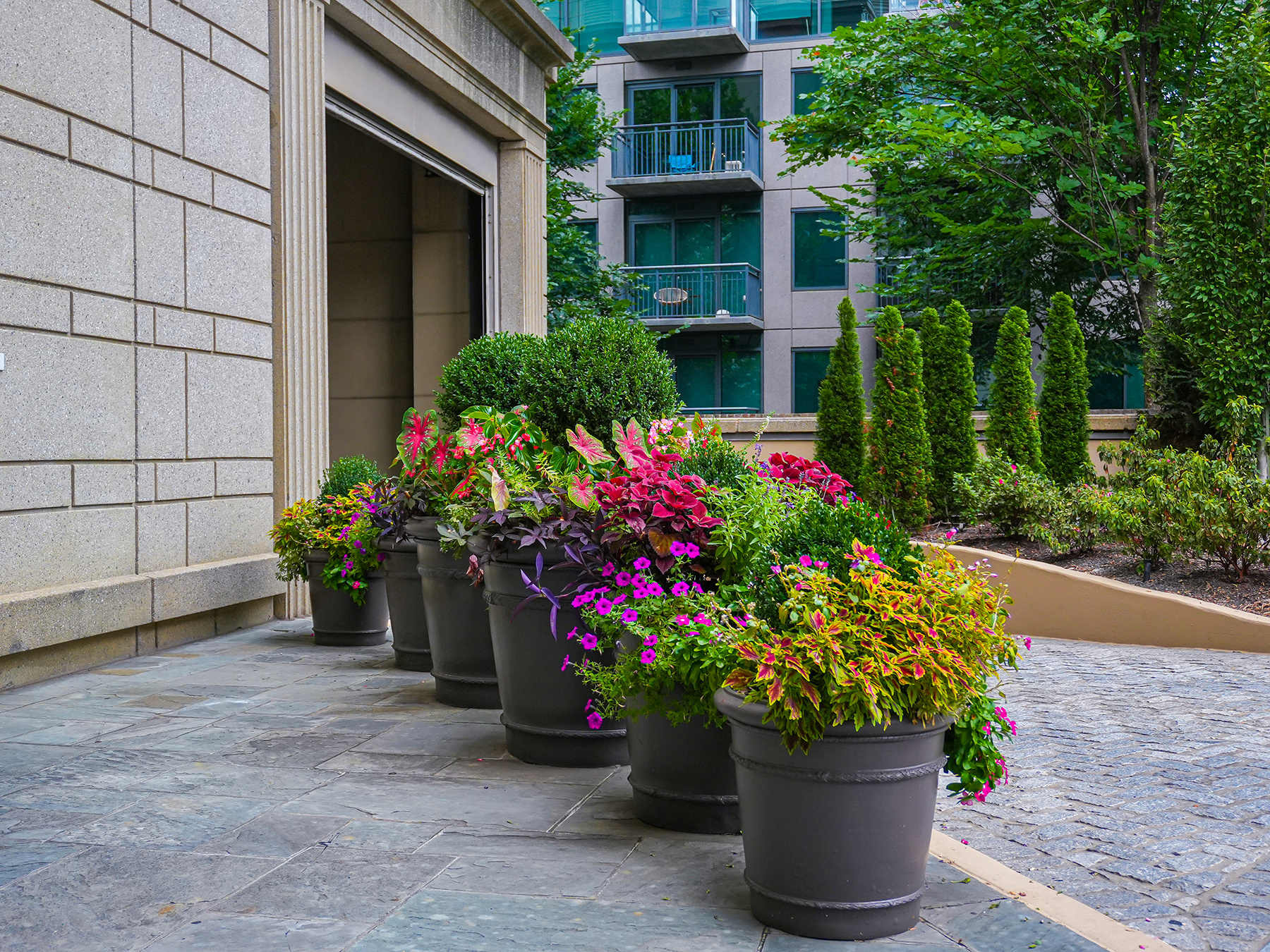 Expert Landscape Maintenance in Denver | Yellowstone Landscape