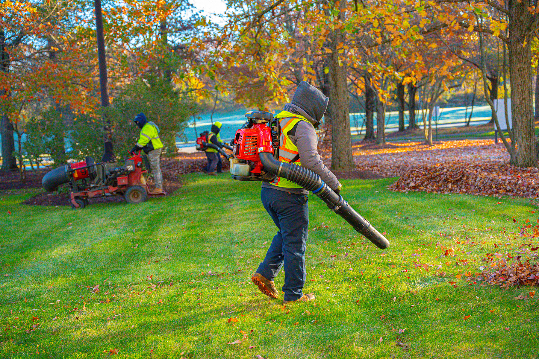 The Benefits of Professional Leaf Removal: Boost Curb Appeal, Safety ...