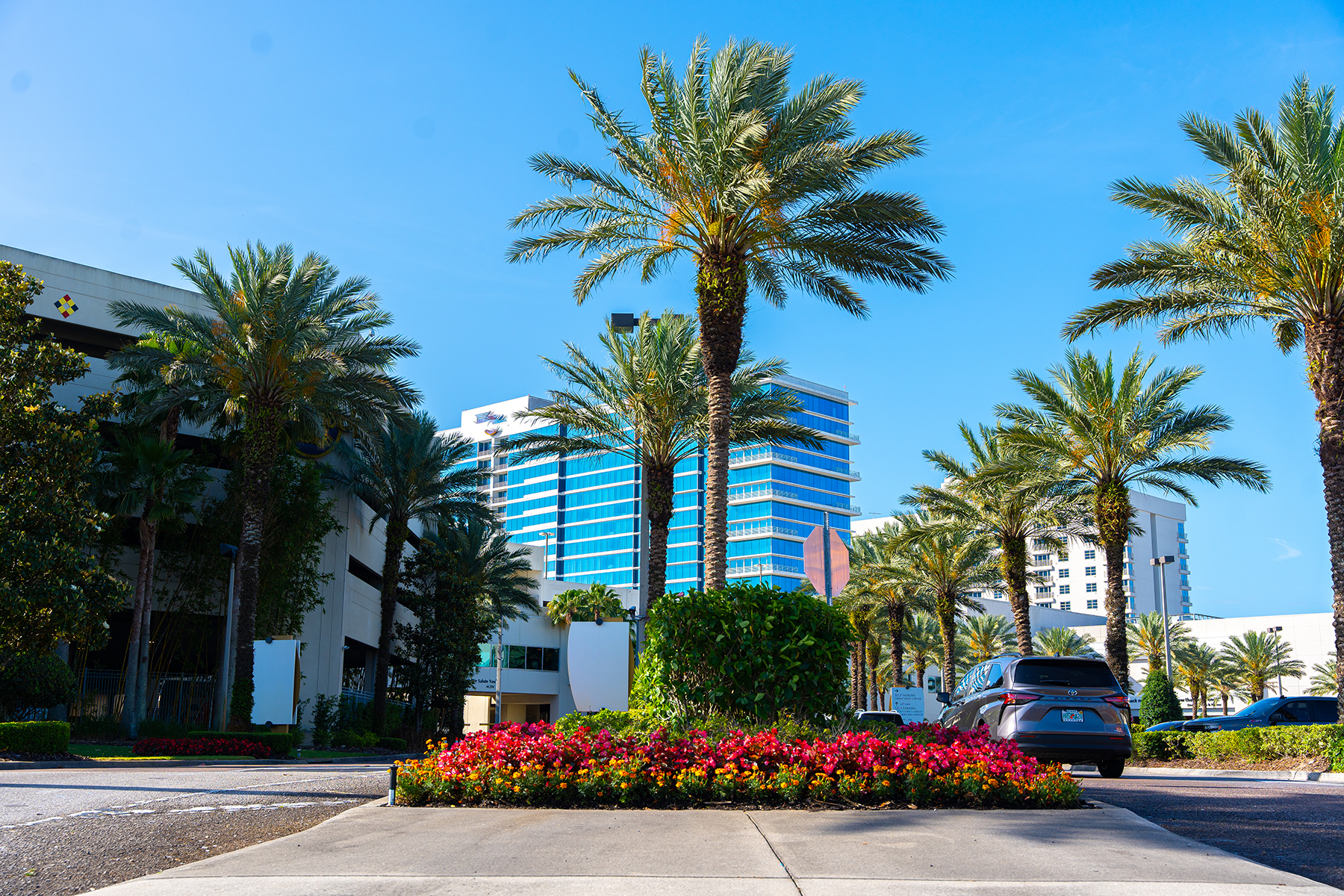Tampa Landscape Services for Premier Properties | Yellowstone Landscape