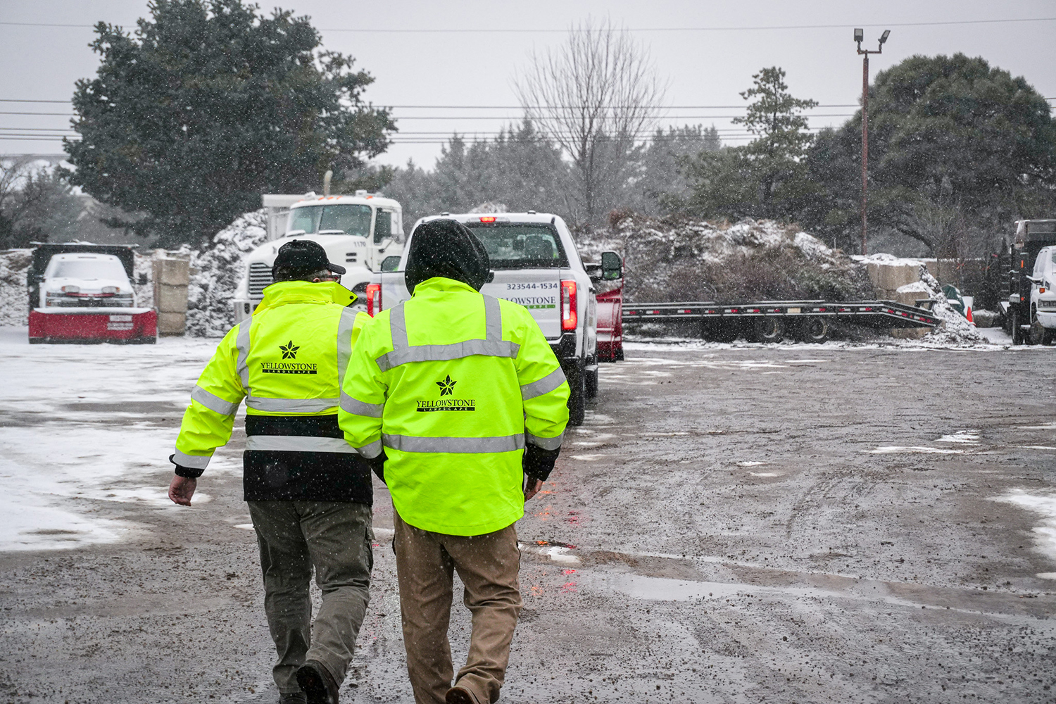 Defense Wins Championships: Defending Your Landscape Investment This Winter