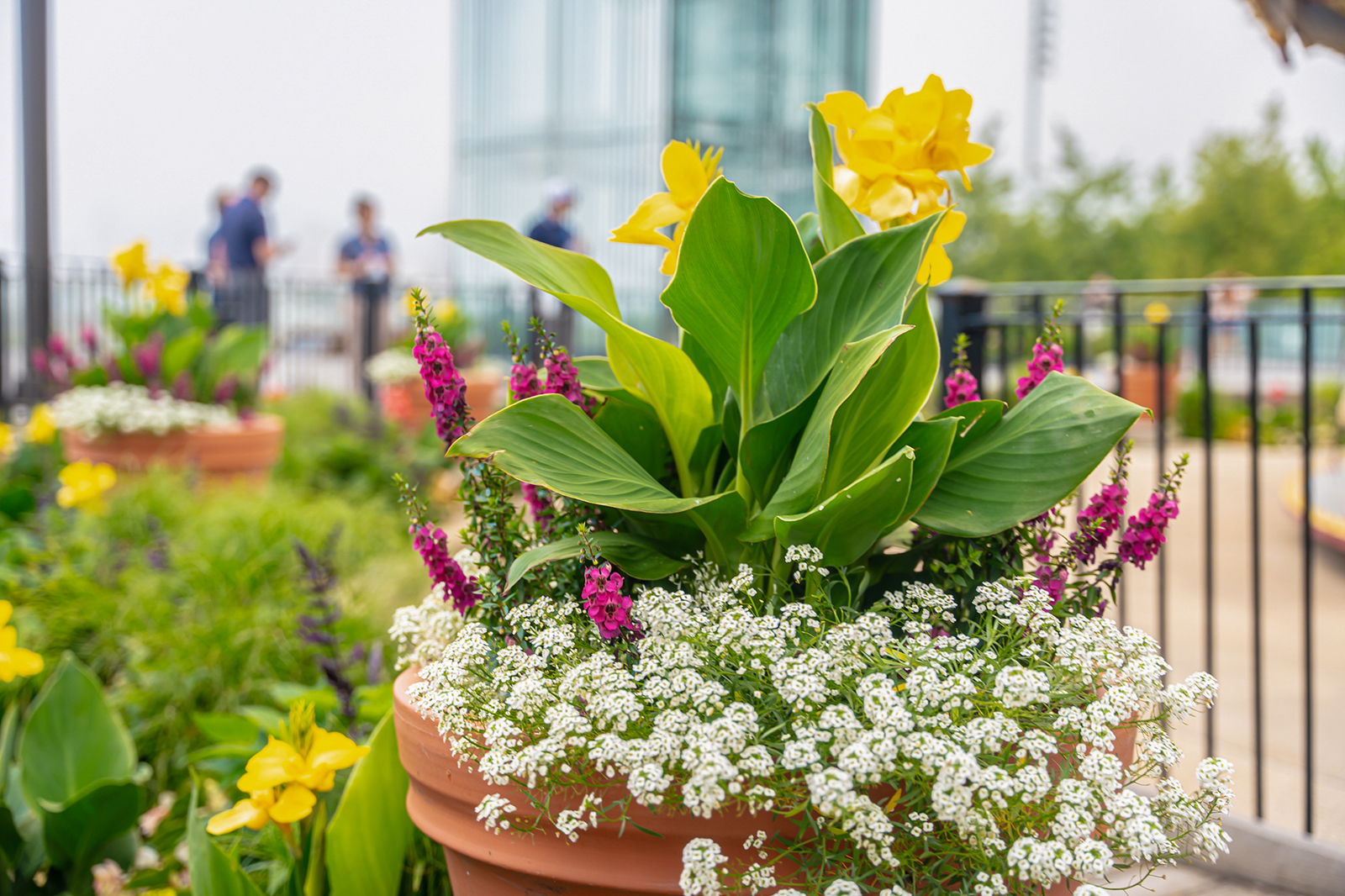 Resort Landscape Design Inspirations for Your Commercial Property