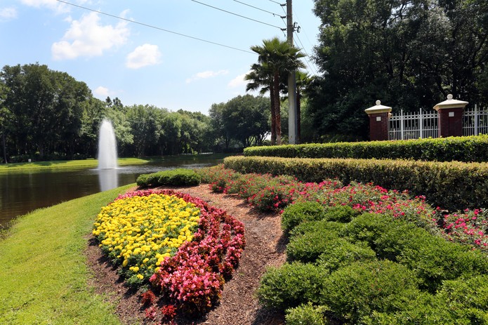 Your Landscape Service Action Plan