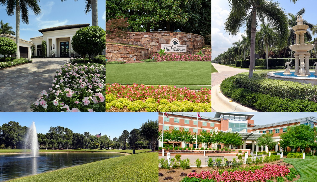 2019 Landscape Award Winners