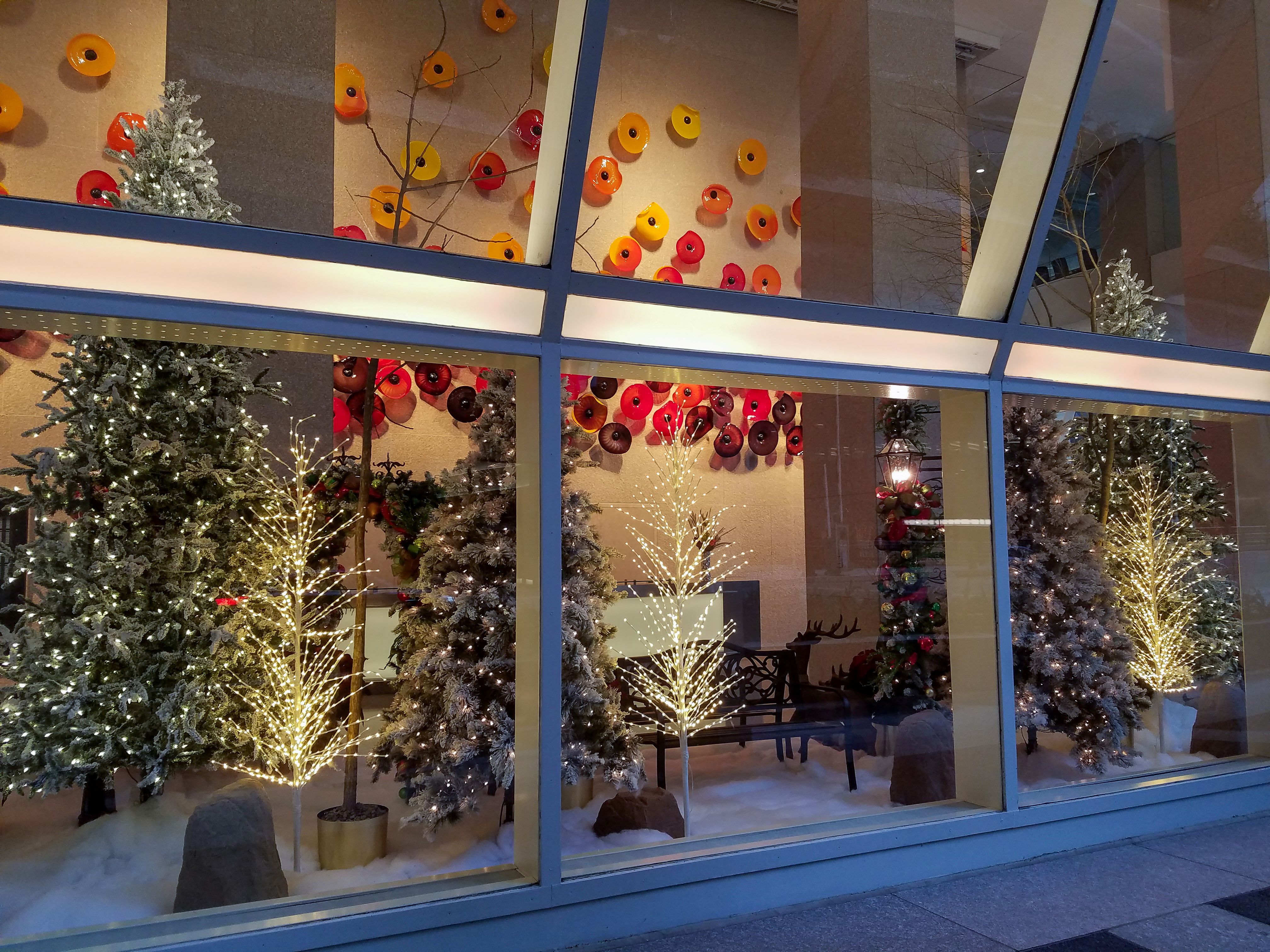 Commercial Interiorscapes | Yellowstone Landscape