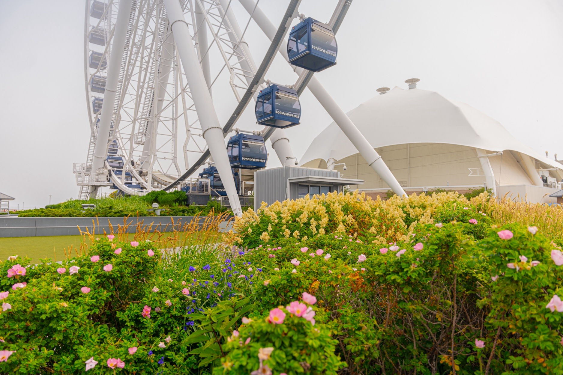 Downtown Chicago Landscaping Services | Yellowstone Landscape