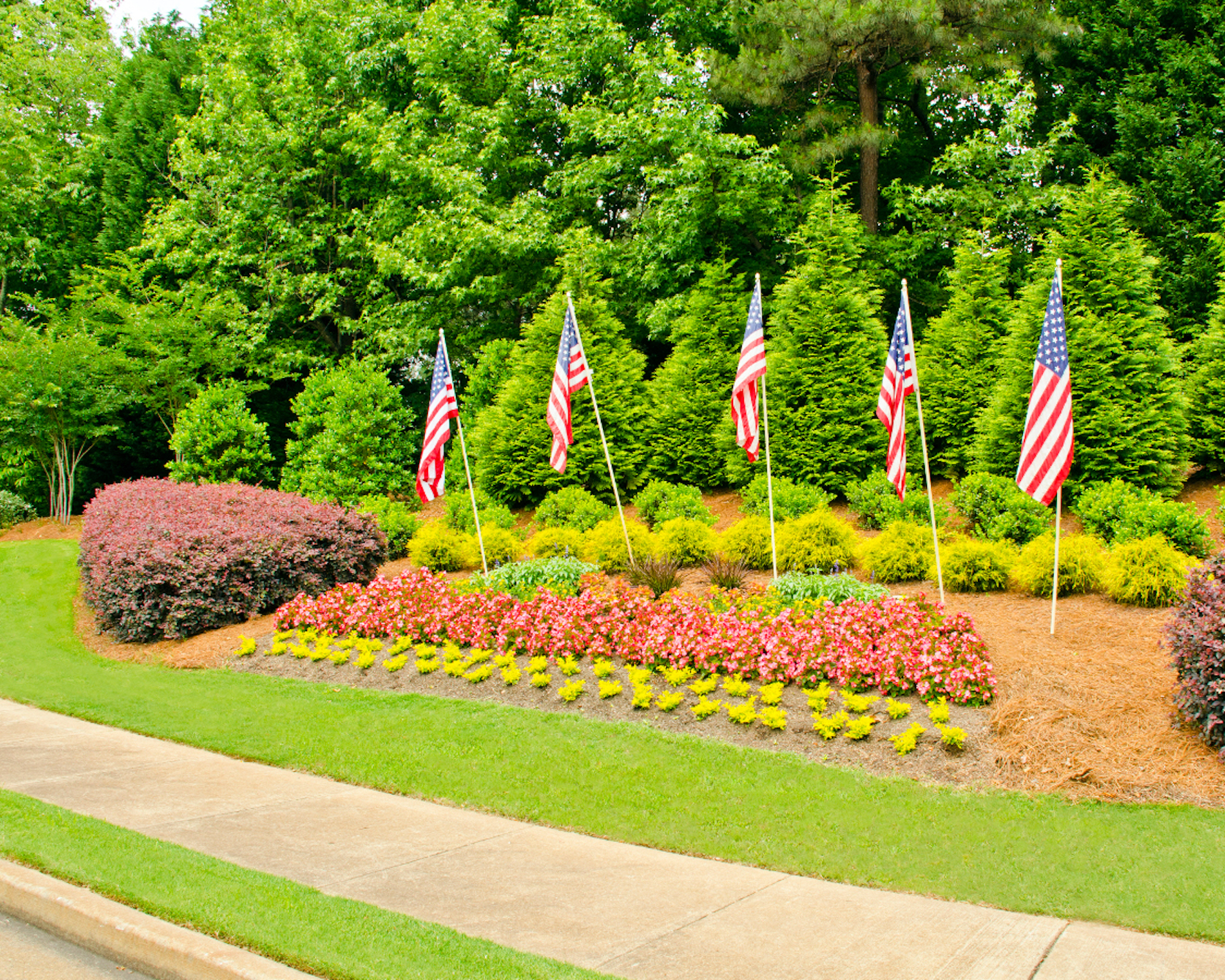 Landscape Tips for August